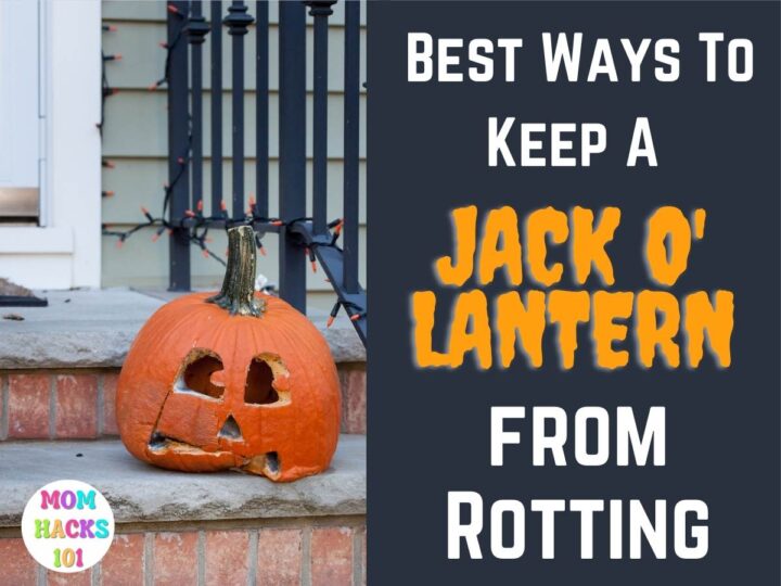 Jack O'Lantern Rot Prevention With Household Items (Halloween Science ...